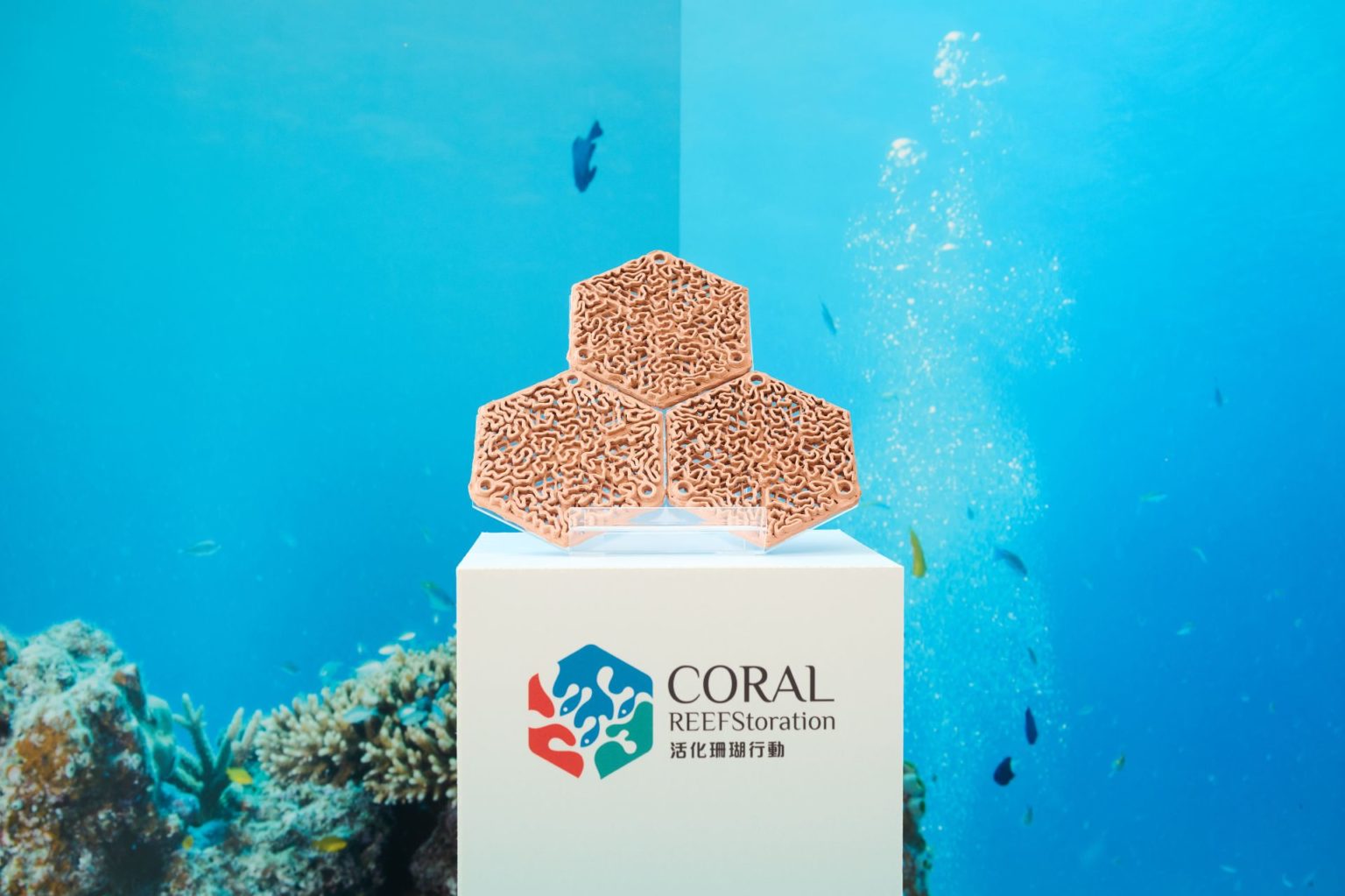 CORAL REEFStoration Rebuilds Coral Habitation - CREATING BETTER LIFESCAPES